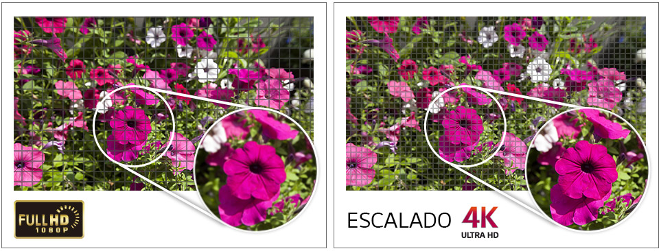 Televisores Ultra HD 4K